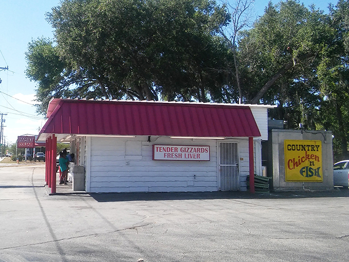 The iconic red roof beckons hungry travelers like a lighthouse for the famished. No fancy frills, just the promise of Southern comfort under Florida skies.