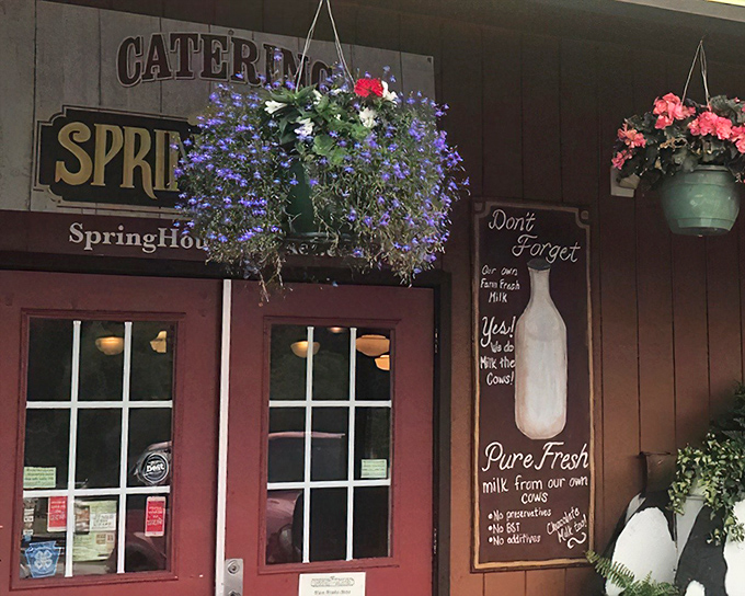 The entrance to food paradise! Vibrant hanging flower baskets frame SpringHouse's rustic wooden exterior, where that milk bottle sign promises farm-fresh goodness inside.