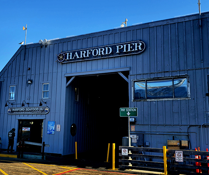 Perched like a seagull with better taste, Mersea's weathered exterior promises seafood nirvana where the Pacific practically serves as your dinner companion.