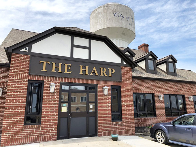 The Harp stands proudly against Cleveland's skyline, its Tudor-style charm and brick exterior promising Irish comfort beneath the city's iconic water tower.
