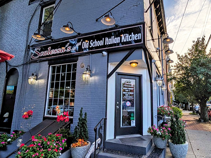 The blue-bricked charm of Scalessa's exterior, with its vibrant flower boxes and vintage lighting, promises an authentic Italian experience hiding in plain sight.