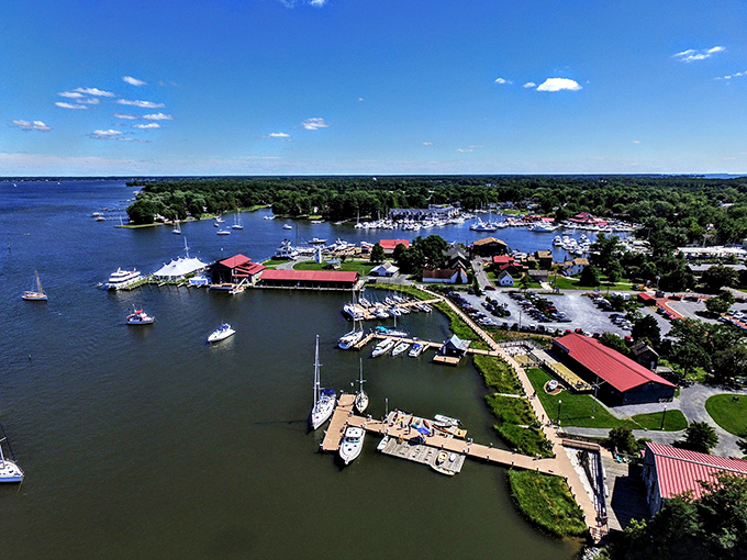 From this bird's-eye view, St. Michaels looks like someone spilled a perfect model village between forest and water, complete with toy boats that actually float.