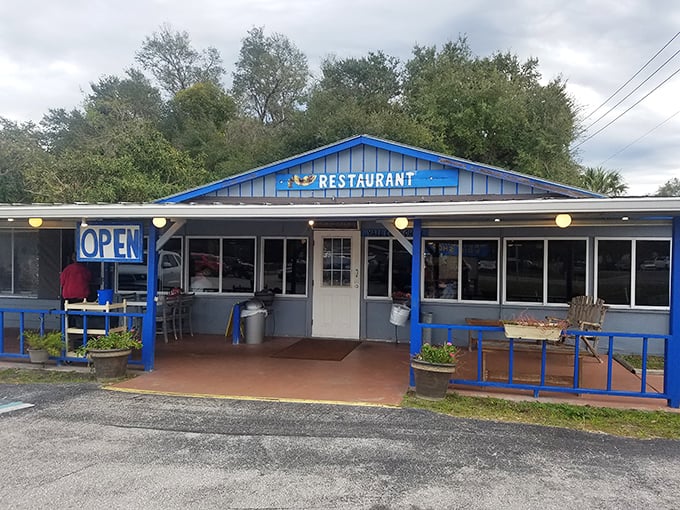 Think roadside charm meets Havana heat, all served with a side of &ldquo;Where has this been all my life?&rdquo;