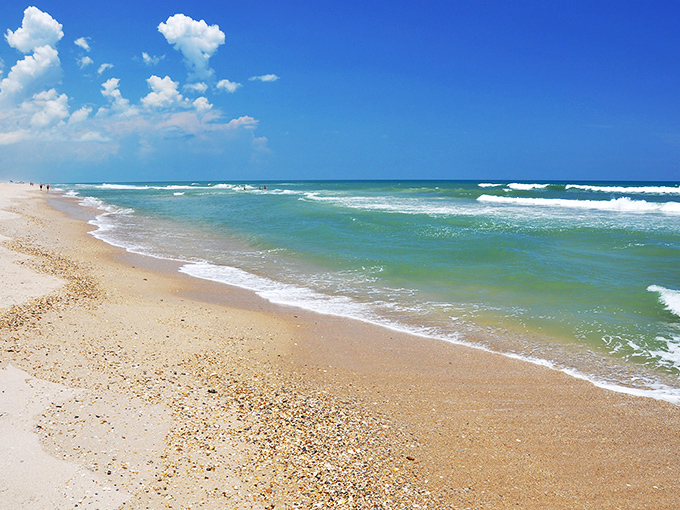 Miles of golden sand stretch before you, untouched by high-rises or souvenir shops. Nature's Florida, exactly as it should be.