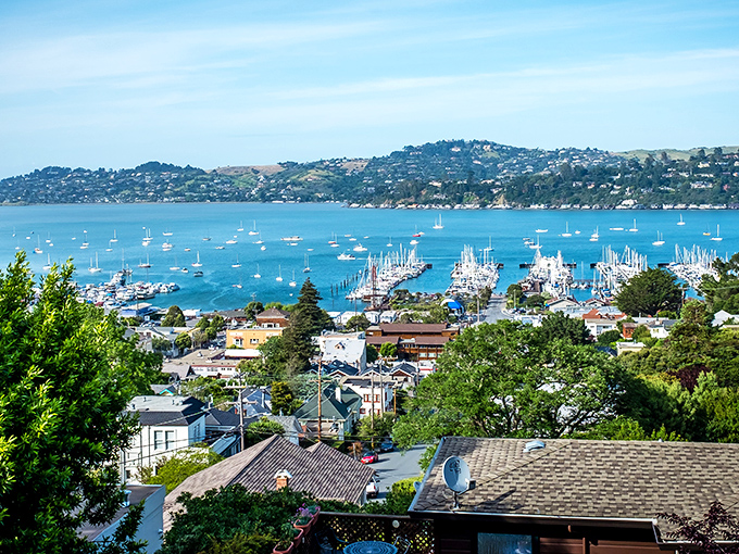 Sausalito unfolds like a Mediterranean daydream, with hillside homes cascading toward the bay and sailboats dotting the water like confetti at a nautical parade.