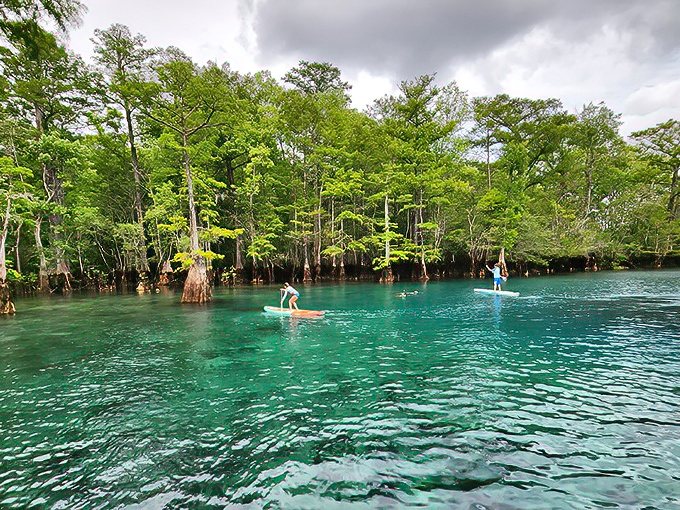 Nature's own infinity pool! Ancient cypress trees stand guard over waters so blue they make the Caribbean look like it needs a color upgrade.