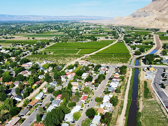 Main Street Palisade stretches toward dramatic Book Cliffs, where small-town charm meets geological grandeur in perfect Western Slope harmony.