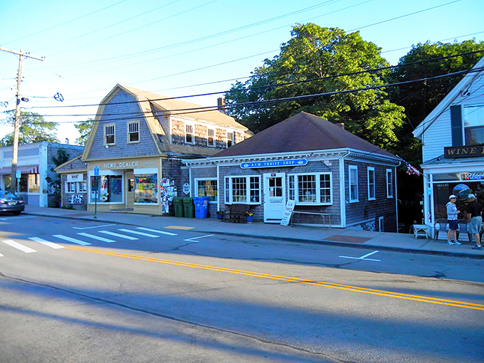Wellfleet's Main Street offers that perfect small-town charm where you might actually know the person waving from across the crosswalk.