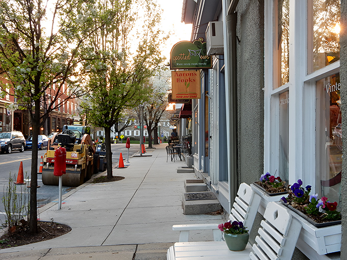 East Main Street beckons with its tree-lined charm and inviting storefronts. Aaron's Books stands ready to transport bibliophiles to literary worlds beyond.