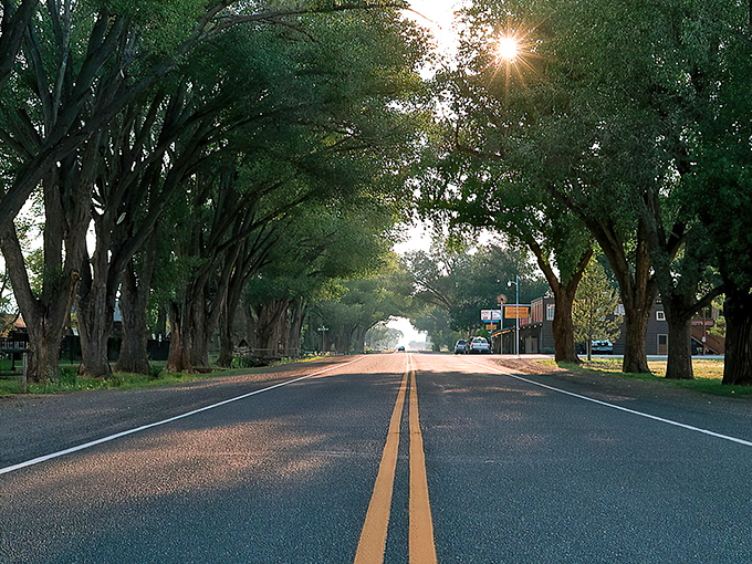 Nature's cathedral of cottonwoods creates the most magnificent main street canopy you'll ever drive under. Small-town magic at its finest.