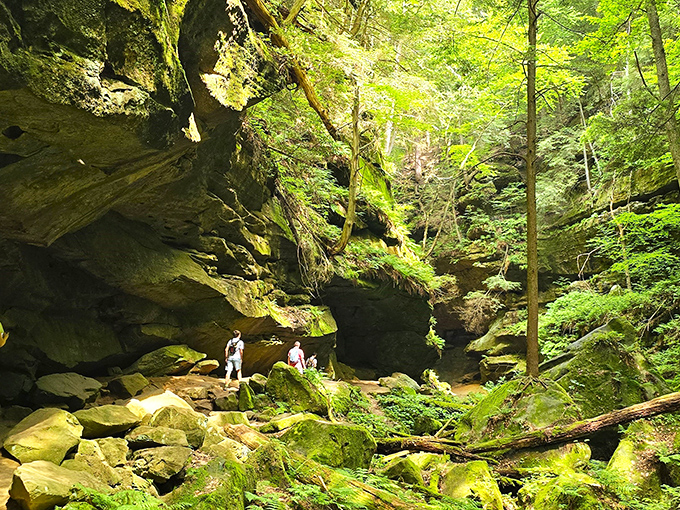 Nature's amphitheater puts on quite a show here, with twin waterfalls cascading down moss-covered cliffs while sunlight filters through the canopy above.
