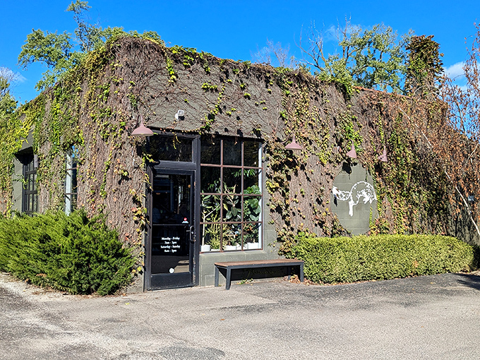 The ivy-covered exterior of Fox in the Snow feels like discovering a secret garden caf&eacute; where pastries, not flowers, are the main attraction.