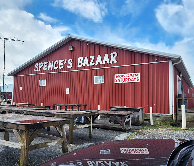 The iconic red barn of Spence's Bazaar stands like a treasure chest waiting to be opened, promising discoveries that'll make your weekend complete.