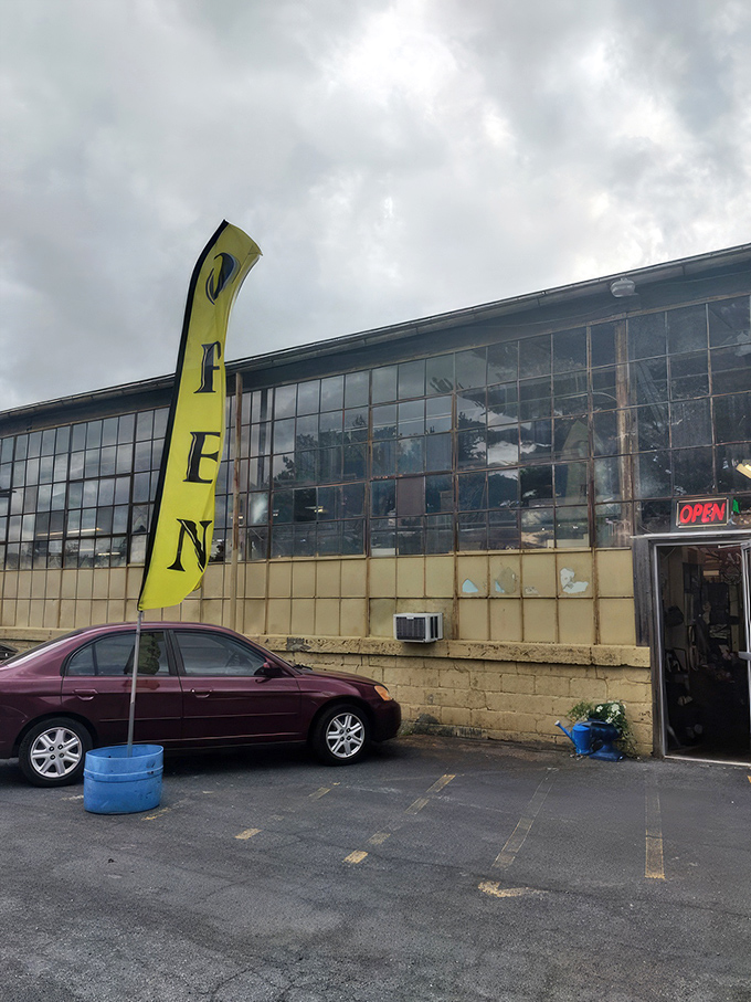 Treasure islands as far as the eye can see! Aisles of carefully curated collectibles create a maze of possibilities for the curious explorer.