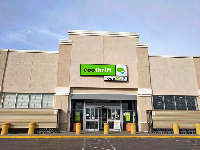 The modern storefront promises retail therapy without the financial trauma of traditional shopping sprees. 