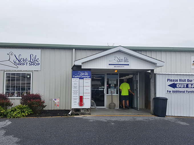 The unassuming exterior of New Life Thrift Shop in Lewes hides a treasure trove within&mdash;like finding a blockbuster movie in plain DVD packaging.