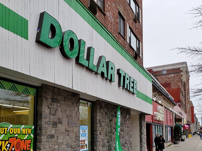 The iconic green and white signage of Dollar Tree on Commonwealth Avenue stands as a beacon of budget-friendly shopping in Boston's bustling urban landscape.