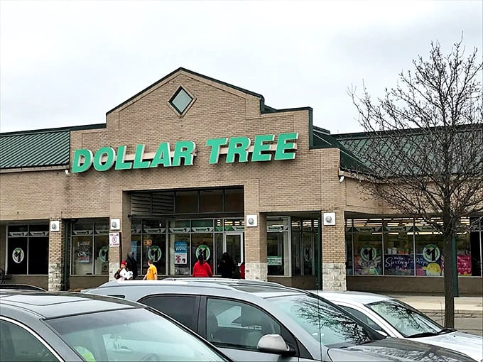 The iconic green lettering beckons like a siren song to bargain hunters. Who knew paradise could be housed in a suburban strip mall?