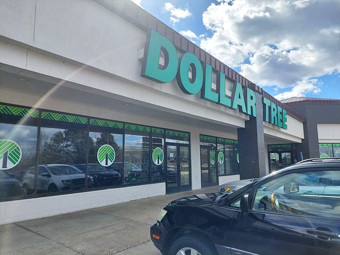 The iconic green signage beckons bargain hunters like a retail lighthouse. Dollar Tree's promise of affordable treasures shines bright against Minnesota's often-gray skies.