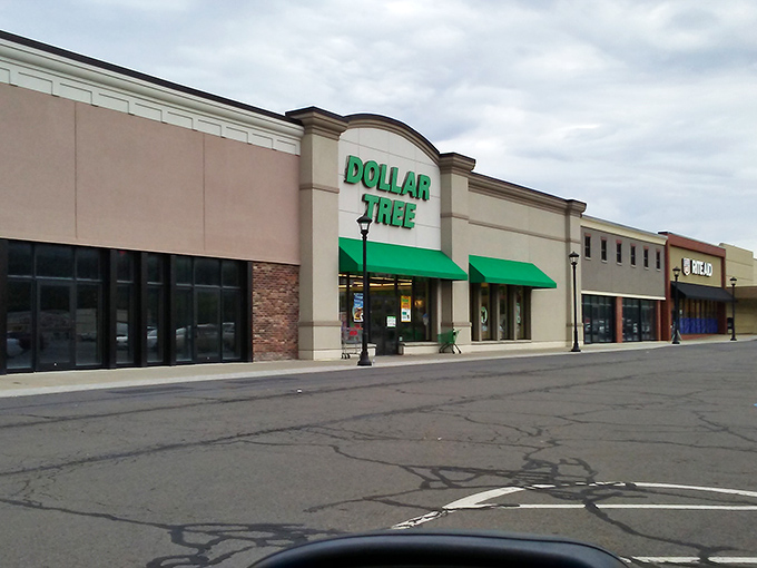 The green awnings of Dollar Tree beckon like a bargain oasis in Wilkes-Barre Township's retail landscape, promising treasure hunts that won't break the bank.