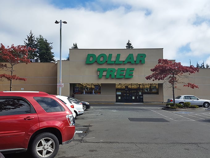 The iconic green signage of Dollar Tree beckons like a budget-friendly lighthouse on a rainy Seattle day. Bargain hunters, your port awaits!