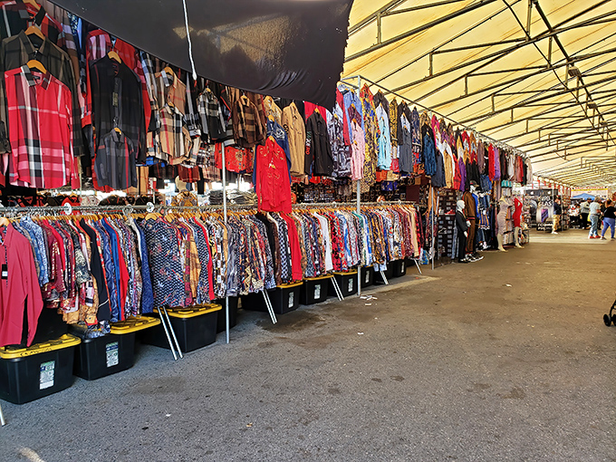 Under this vast canopy, a treasure hunter's paradise unfolds with colorful toys and clothing waiting to find new homes.