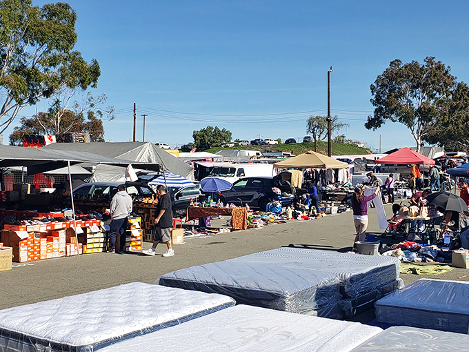 A kaleidoscope of canopies stretches into the horizon, each tent a portal to someone's passion, livelihood, or weekend side hustle.