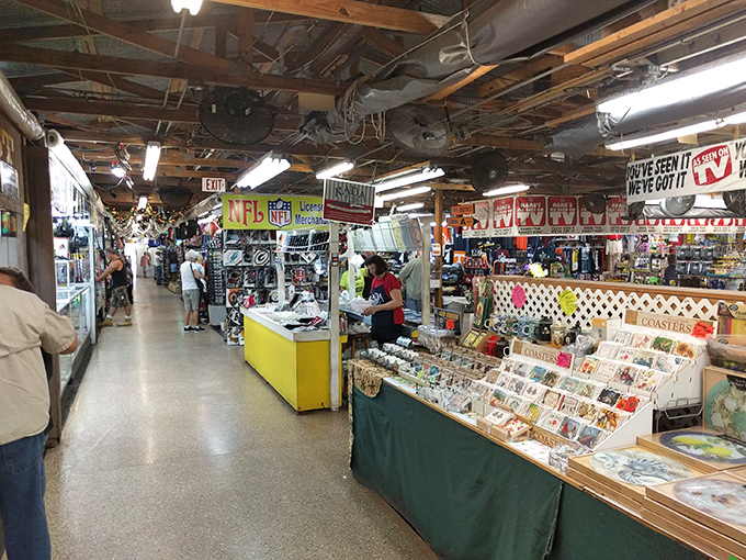 Inside the Daytona Flea & Farmers Market, where time slows down and treasure hunting becomes an Olympic sport. Every aisle promises unexpected discoveries.