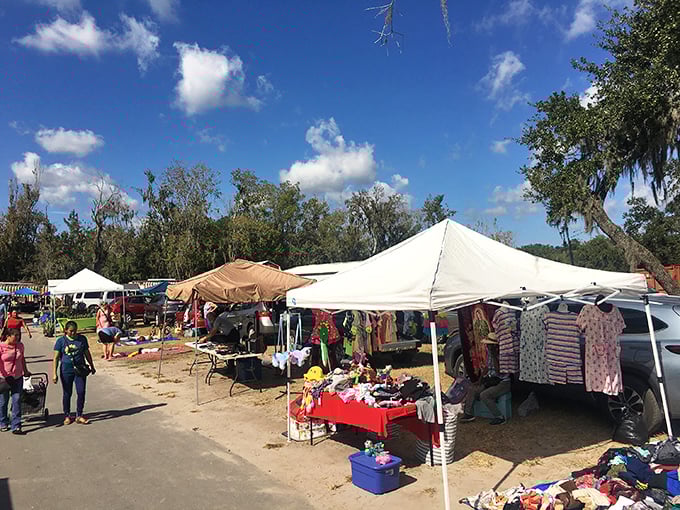 Treasure hunters navigate the bustling aisles of Plant City's weekend wonderland. The thrill of discovery hangs in the air like Florida humidity&mdash;inescapable and oddly energizing.