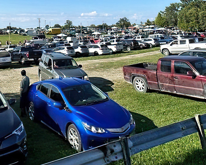 Parking paradise or organized chaos? At Armada Flea Market, finding your car later becomes the day's second treasure hunt.