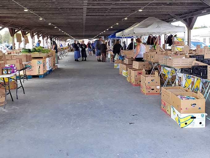 The grand avenue of possibilities! Shoppers meander through the outdoor section of Rogers Flea Market, where treasures await under white canopies and Ohio's big sky.