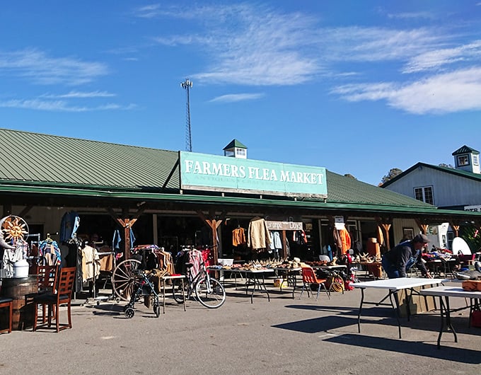 A nostalgic wonderland where vintage treasures tell stories. That wooden rocking horse has probably seen more history than most history books.