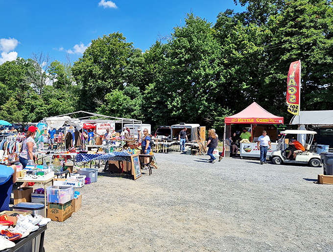 Treasure hunters navigate the gravel pathways between colorful vendor tents, where one person's castoffs become another's prized discoveries.