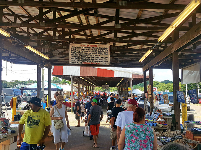 Welcome to retail chaos theory! The covered walkways of Anderson Jockey Lot house endless possibilities where one person's castoffs become another's treasures.