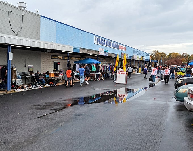 The blue-fronted wonderland beckons shoppers with its siren call of treasures waiting to be discovered on a typical Baltimore weekend.