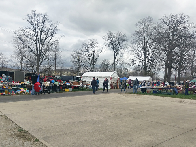 The treasure hunt begins! Shoppers navigate the sprawling pathways of Tiffin Flea Market, where unexpected discoveries await around every corner.