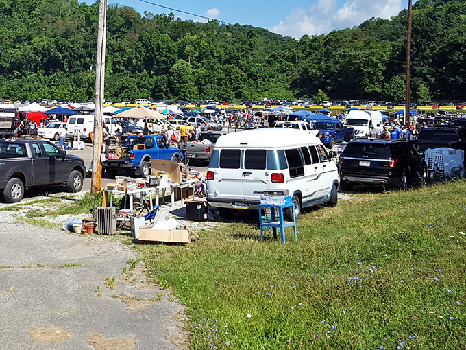 The aerial view of treasure-hunting humanity in its natural habitat. Sundays at Trader Jack's look like a scene from "Where's Waldo?: Bargain Hunter Edition."