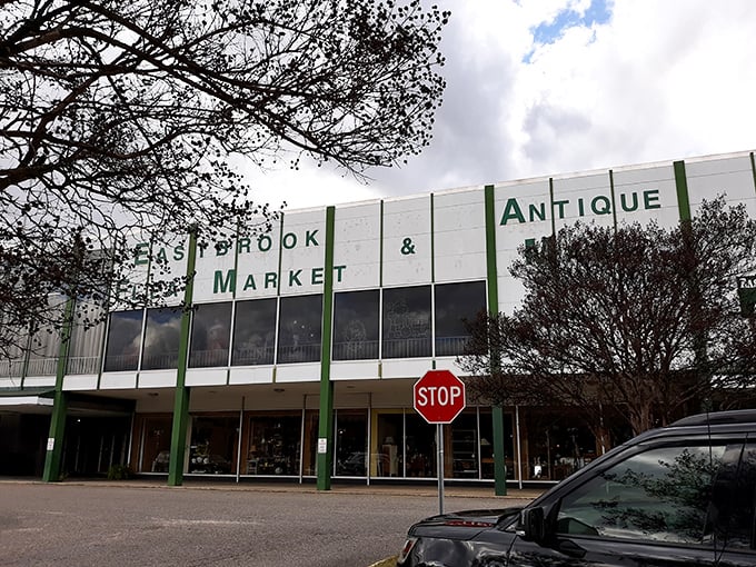 The retro facade of Eastbrook beckons like a siren song to bargain hunters. Behind those walls lies a treasure trove waiting to be discovered.