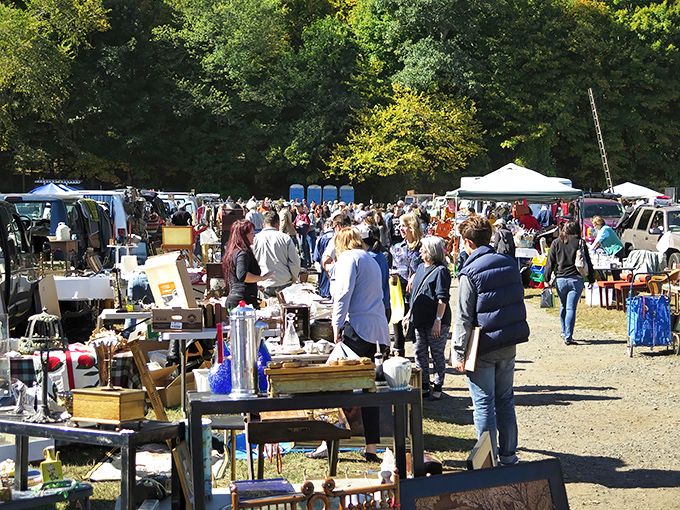 Treasure hunters navigate the bustling aisles on a perfect New England morning. The thrill of the hunt is palpable in the autumn air.