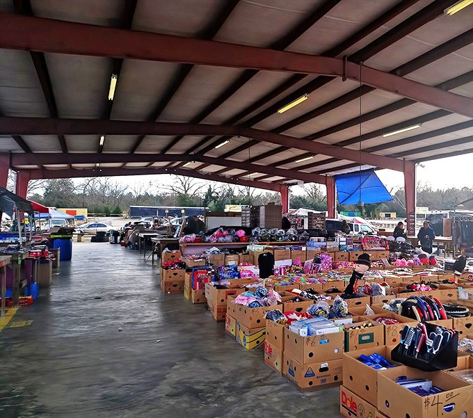 Treasure hunters' paradise! Rows of cardboard boxes filled with potential finds stretch under the covered pavilion, where one person's castoffs become another's treasures.