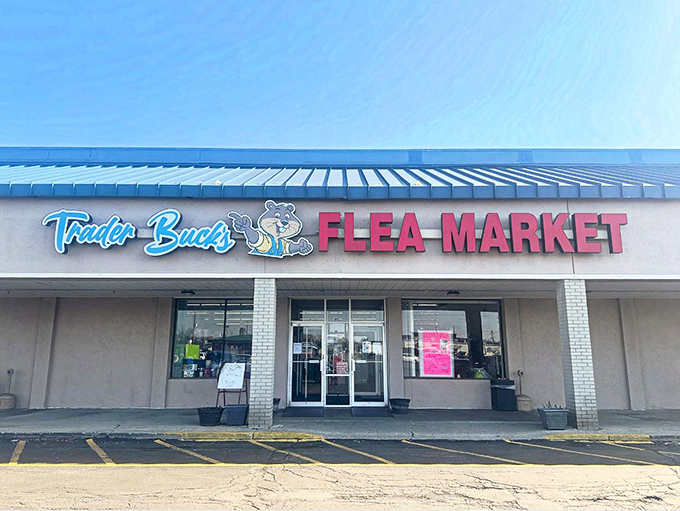 The blue-roofed bargain kingdom beckons with its neon promise of treasures waiting to be discovered inside.