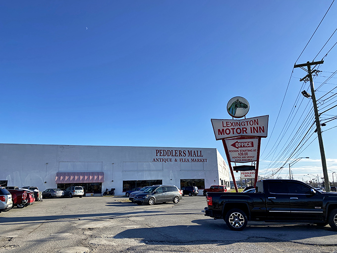 The unassuming exterior belies the treasure trove within. Like a culinary speakeasy, the best discoveries often hide behind the plainest facades.