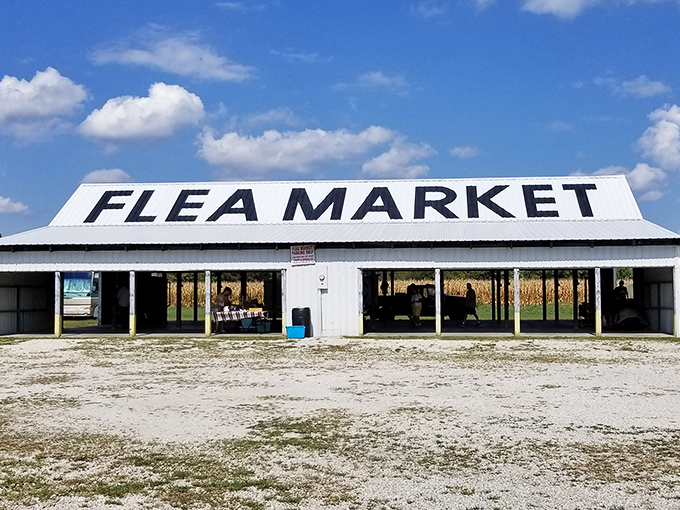 The ultimate welcome sign isn't a fancy billboard, but this straightforward "FLEA MARKET" proclamation that promises treasures within like a modern-day cave of wonders.