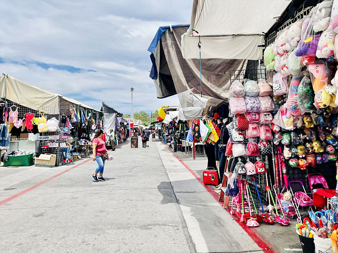 A bargain hunter's paradise stretches to the horizon under Nevada's impossibly blue sky. The colorful canopy city of Broadacres awaits exploration.