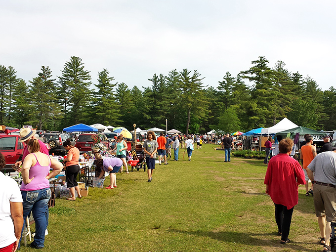 A treasure hunter's paradise unfolds beneath towering pines, where colorful canopies shelter countless stories waiting to be discovered.