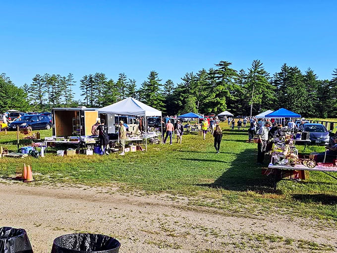 A treasure hunter's paradise unfolds beneath towering pines, where colorful canopies shelter countless stories waiting to be discovered.