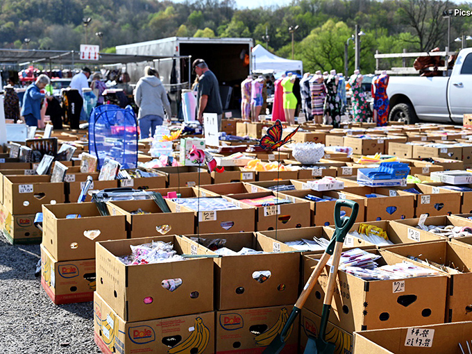 A treasure hunter's paradise unfolds at Rogers Flea Market, where yesterday's memories meet tomorrow's collectibles under the Ohio sky.