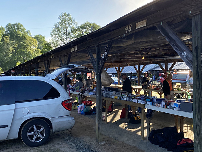 The treasure hunt begins! Rows of tables stretch toward the horizon as early birds scout for deals under the Carolina sky.