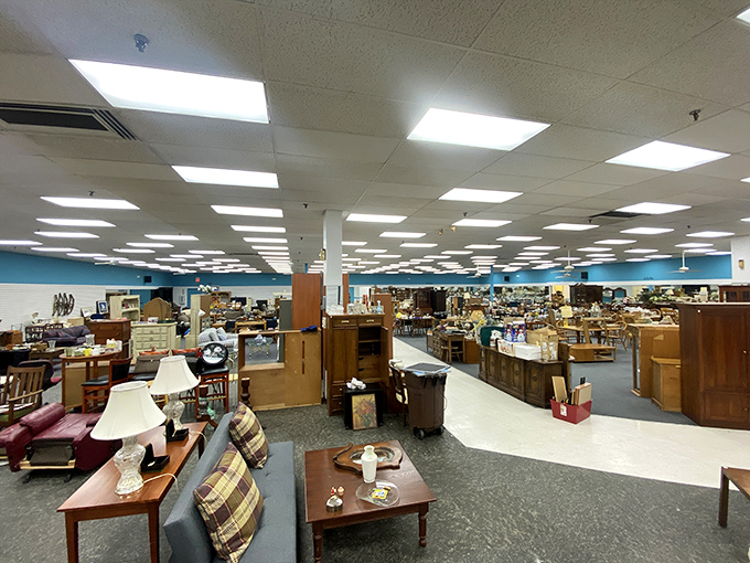 A treasure hunter's dream landscape&mdash;furniture islands stretching to the horizon under fluorescent skies. This is where sofas come to find their second chapter.
