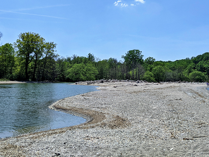 Nature's perfect balancing act: where rocky shoreline meets pristine forest. This hidden Lake Erie gem offers a peaceful escape from the digital world.